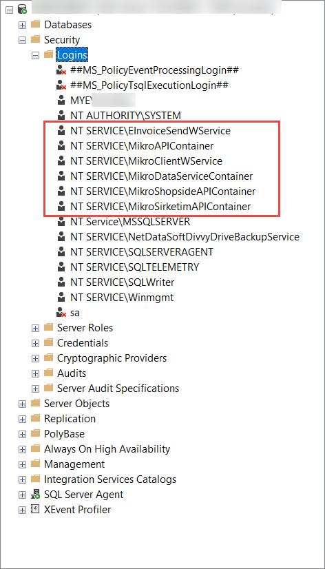Mikro Servisleri Yetkilendirme İşlemi Nasıl Yapılır